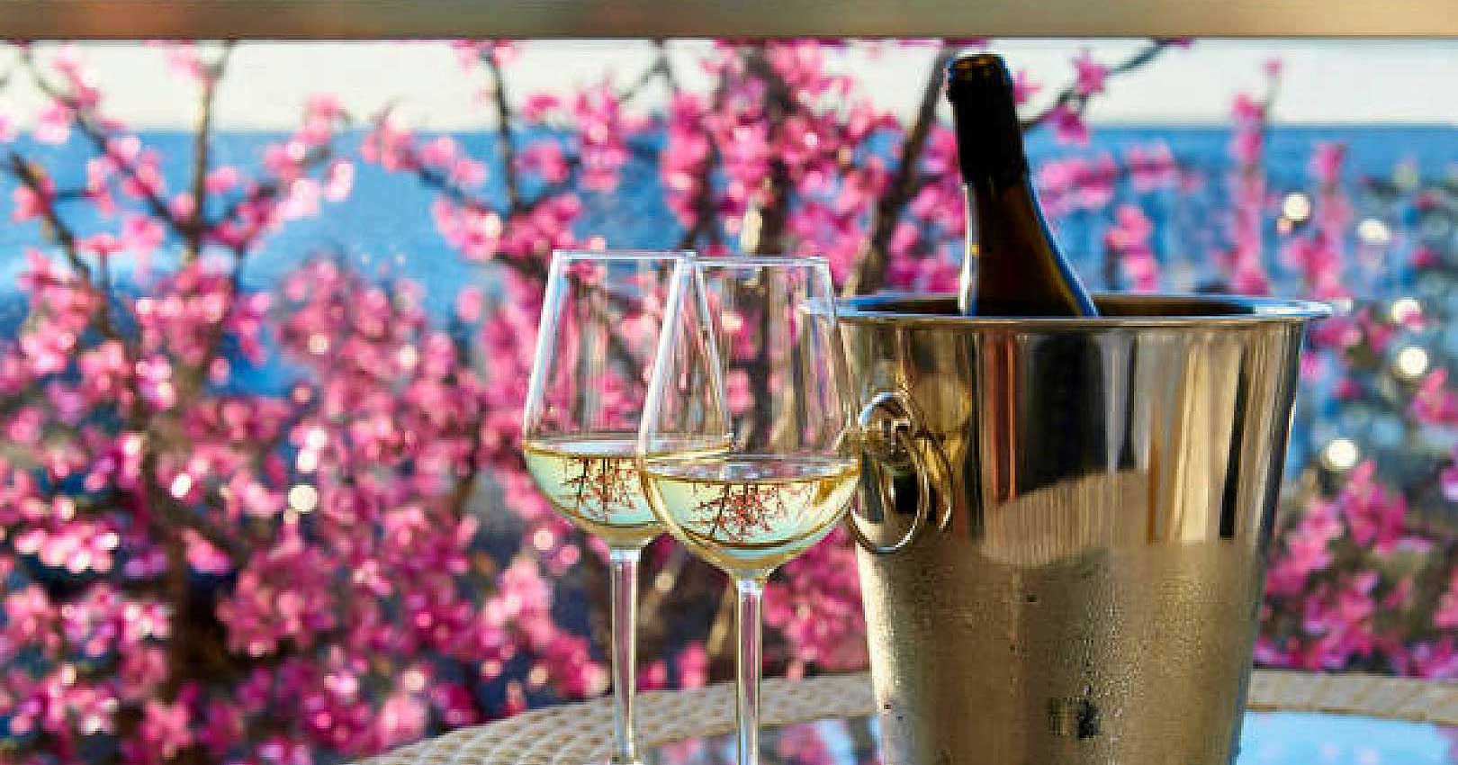 G'Vine Nouaison Reserve Gin (0,5L 42%) - Borvilág